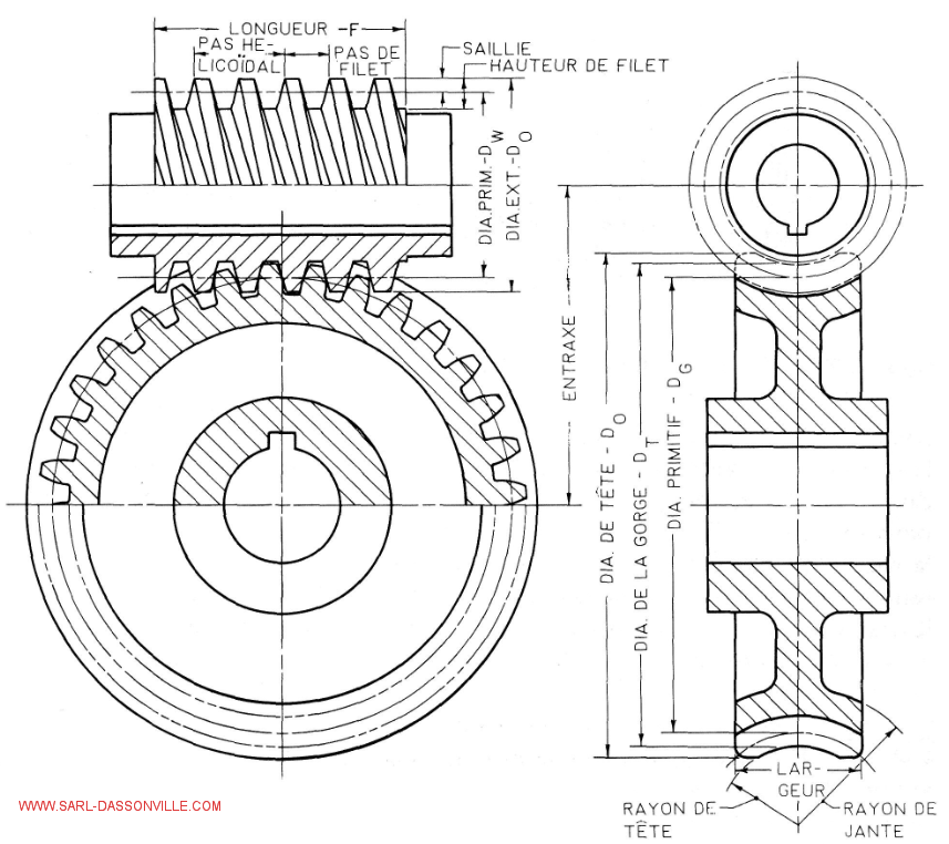 Différents Type de roue et vis sans fin ZA, ZN, ZI, ZK, ZH Sarl Dassonville